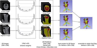 Frontiers | Deep Learning-Augmented Head and Neck Organs at Risk ...