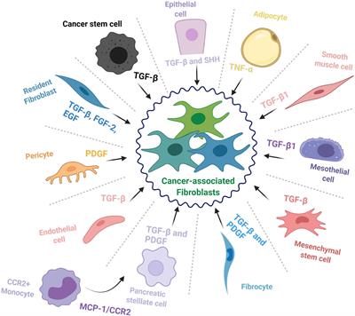 Frontiers | The Cellular Origins of Cancer-Associated Fibroblasts and ...