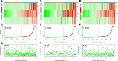 Frontiers | Association of a Novel Prognosis Model with Tumor Mutation ...