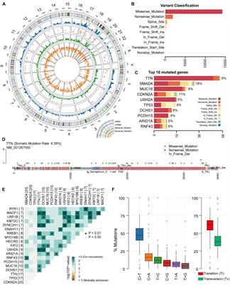 Frontiers | Integrating Genetic and Transcriptomic Data to Reveal ...