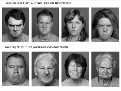 Frontiers | Facial Expressions and Emotion Labels Are Separate ...