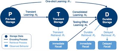 Frontiers | Optimizing Cognitive Assessment Outcome Measures for ...