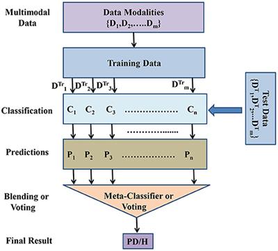 Frontiers | MMDD-Ensemble: A Multimodal Data–Driven Ensemble Approach ...