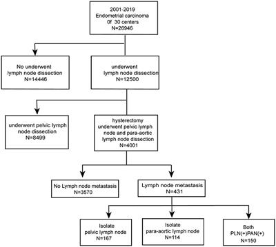 Para Aortic Lymph Nodes