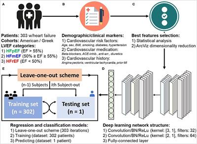 Frontiers | Deep Learning Predicts Heart Failure With Preserved, Mid ...