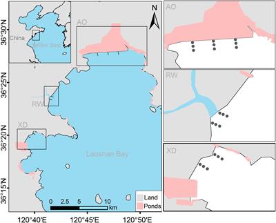 Frontiers | Functional Trait Responses of Macrobenthos to Anthropogenic ...