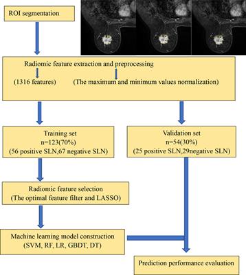 Frontiers | Value of the Application of CE-MRI Radiomics and Machine ...