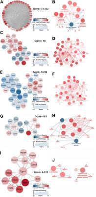 Frontiers | Transcriptome Profiling Reveals Important Transcription ...