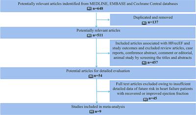 Frontiers | Prevalence and Prognosis of HFimpEF Developed From Patients ...
