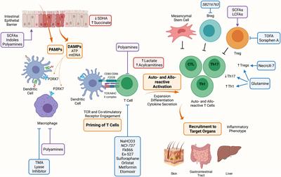 Frontiers | Recent Metabolic Advances for Preventing and Treating Acute ...