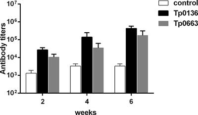 Frontiers | Two Potential Syphilis Vaccine Candidates Inhibit ...