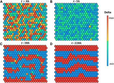 Frontiers | A Novel Hybrid Logic-ODE Modeling Approach to Overcome ...
