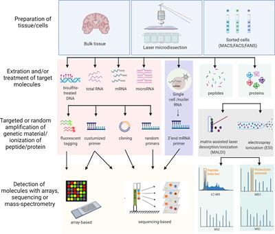 Frontiers | A Systematic Review of Tissue and Single Cell Transcriptome ...
