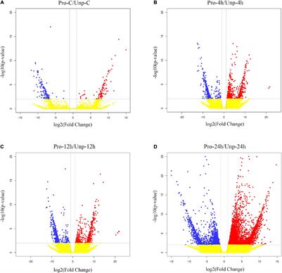 Frontiers | Transcriptome Profiling Based on Larvae at Different Time ...
