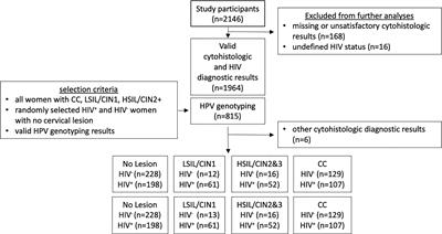 Frontiers | HPV Type Distribution in HIV Positive and Negative Women ...