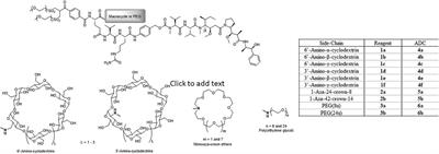 Frontiers | Incorporation of Hydrophilic Macrocycles Into Drug-Linker ...
