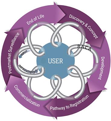 Frontiers | Bridging the Gap: The Critical Role of Regulatory Affairs ...