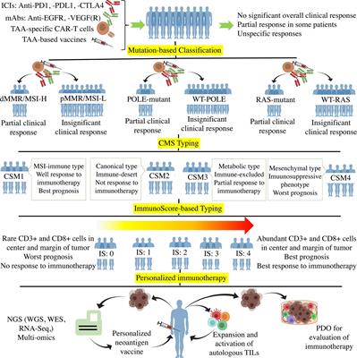 Frontiers | Personalized Immunotherapy in Colorectal Cancers: Where Do ...