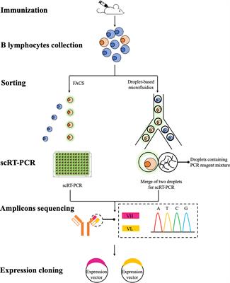 Frontiers | Potential Applications of Fluorescence-Activated Cell ...