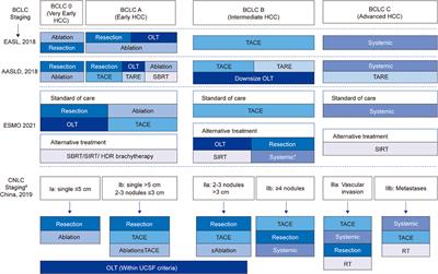 Frontiers | Downstaging Conversion Therapy in Patients With Initially ...