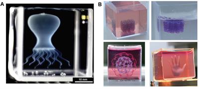 Frontiers | 3D Bioprinting Strategies, Challenges, and Opportunities to ...