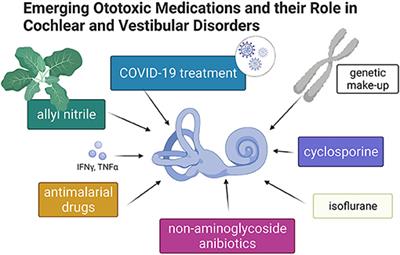 Frontiers | Editorial: Emerging Ototoxic Medications and Their Role in ...