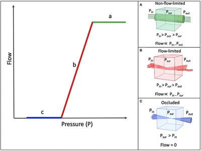 Frontiers | Critical to Know Pcrit: A Review on Pharyngeal Critical ...