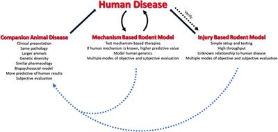 Frontiers | Editorial: Verification of Animal Pain Models by Reverse ...
