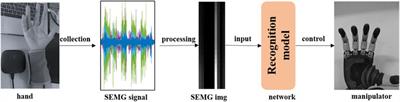 Frontiers | Dynamic Gesture Recognition Using Surface EMG Signals Based ...