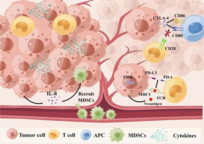 Frontiers | Potential Predictive and Prognostic Value of Biomarkers ...