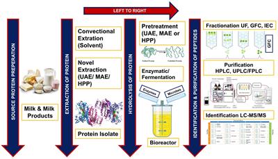 Frontiers | Conventional and Novel Technologies in the Production of ...