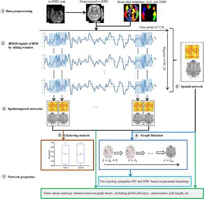Frontiers | A Spatiotemporal Brain Network Analysis of Alzheimer’s ...
