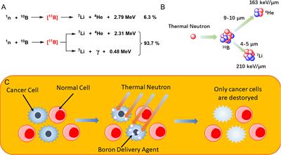 Frontiers | Boron Neutron Capture Therapy: Current Status and Challenges