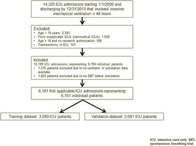 Frontiers | Reintubation Summation Calculation: A Predictive Score for ...