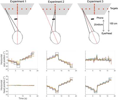 Frontiers | Eye and Head Movement Recordings Using Smartphones for ...