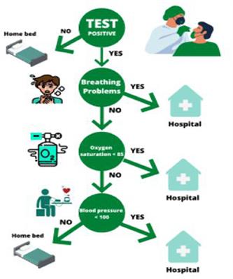 Frontiers | Transparent, simple and robust fast-and-frugal trees and ...
