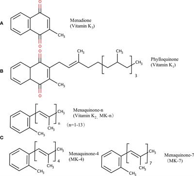 Vitamin K Structure