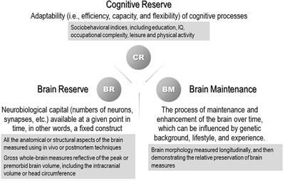 Frontiers | Aging Brain and Hearing: A Mini-Review