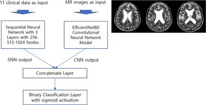 Frontiers | Deep Learning Algorithm Trained on Brain Magnetic Resonance ...