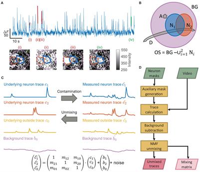 Frontiers | Decontaminate Traces From Fluorescence Calcium Imaging ...