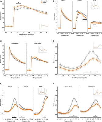 Frontiers | Sleep-Wake Rhythm and Oscillatory Pattern Analysis in a ...