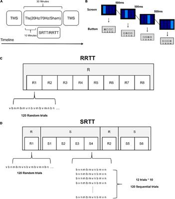 Frontiers | High Gamma and Beta Temporal Interference Stimulation in ...