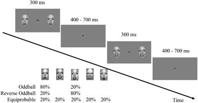 Frontiers | Visual Mismatch Negativity Reflects Enhanced Response to ...