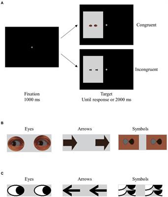 Frontiers | Do gaze and non-gaze stimuli trigger different spatial ...