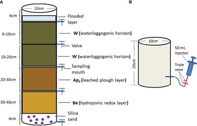 Frontiers | Biochar Amendments Facilitate Methane Production by ...