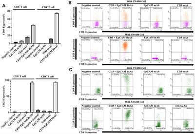 Frontiers | IgG-like Bispecific Antibody CD3×EpCAM Generated by Split ...