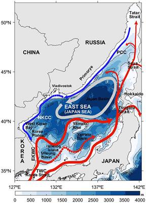 Frontiers | Satellite-Observed Chlorophyll-a Concentration Variability ...
