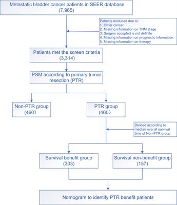 Frontiers | A Model for Identifying Optimal Patients for Primary Tumor ...