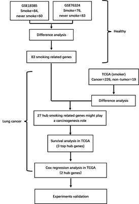 Frontiers | Identification of SRXN1 and KRT6A as Key Genes in Smoking ...