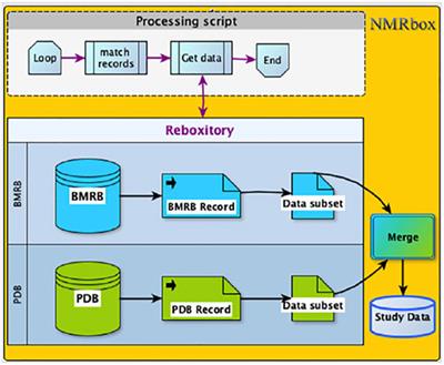 Frontiers | Merging NMR Data and Computation Facilitates Data-Centered ...